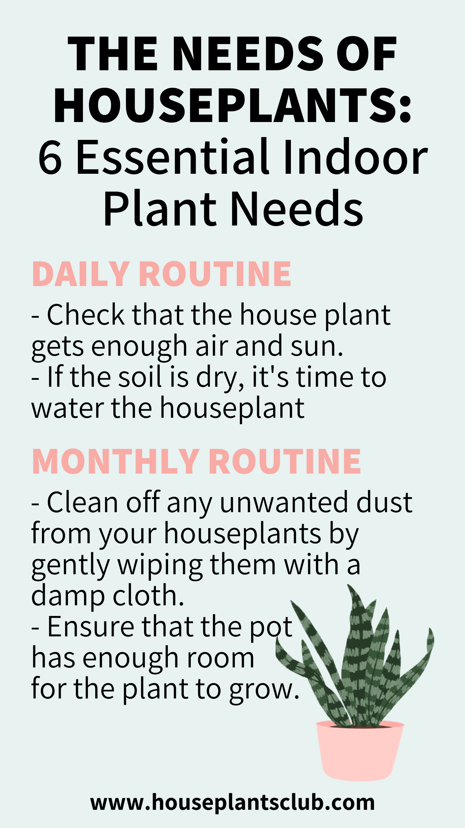 The daily needs of houseplants: 6 essential plant needs - houseplants club